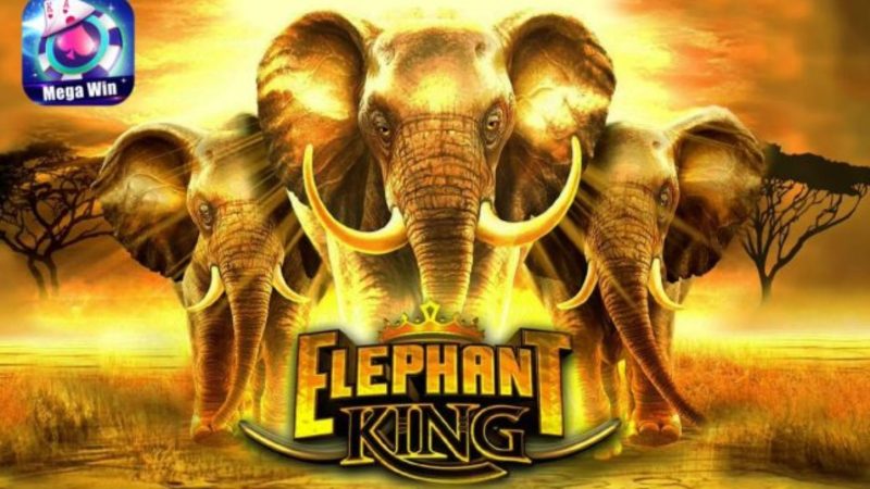 Elephant King Slot Big Win: 100% Legit Paying Slot